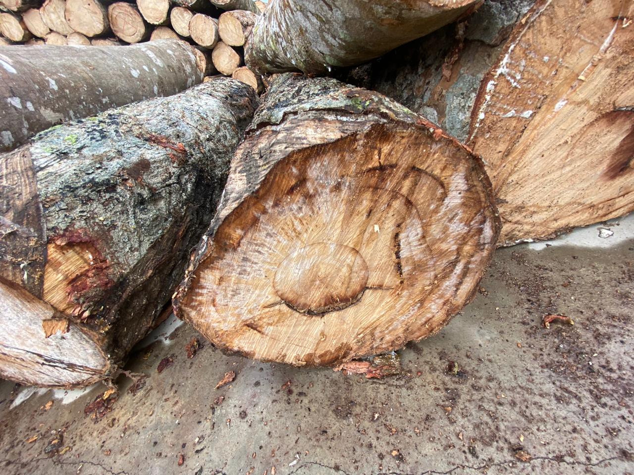 Produk Reject | PT Cipta Mandala Lumber Nusantara