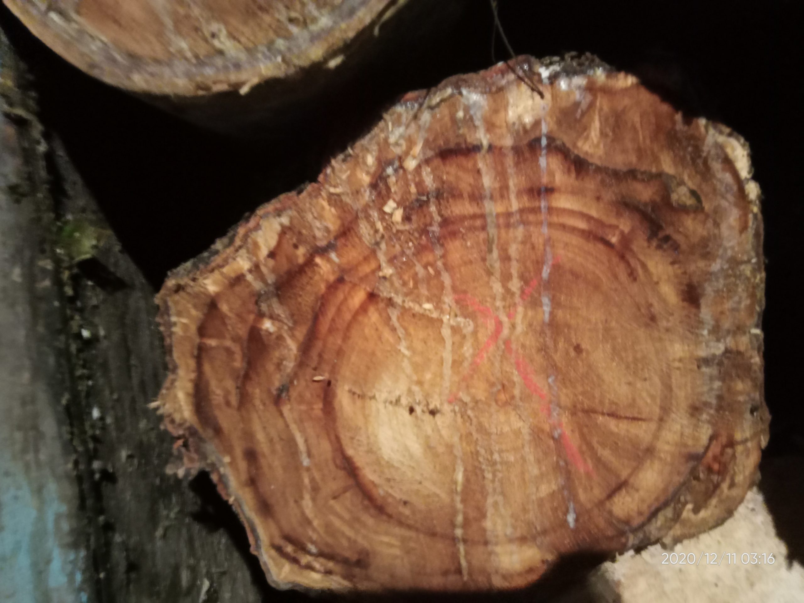 Produk Reject | PT Cipta Mandala Lumber Nusantara